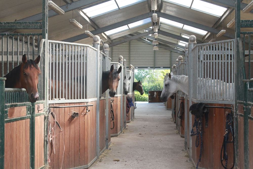 Contact Adresse Téléphone Map - Les Écuries AR